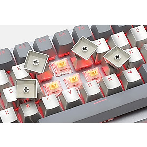 KPREPUBLIC teamwolf Stainless Steel MX Keycap Silver Color Metal keycap for Mechanical Keyboard Gaming Key Alpha Light Through Back lit (TeamWolf Alpha Key x1)