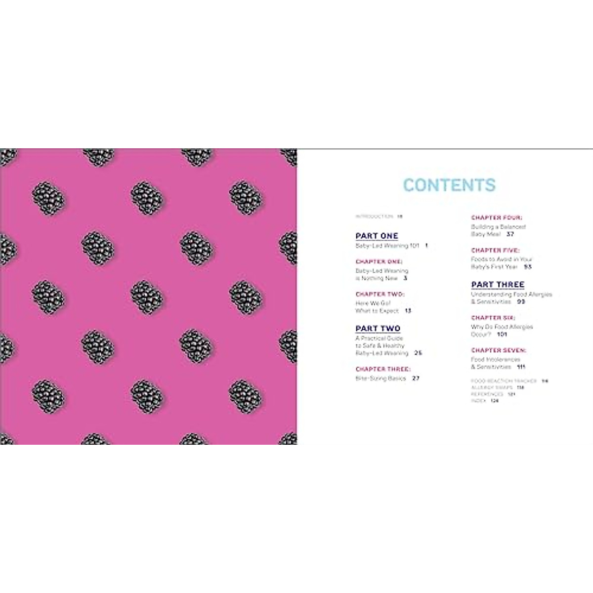 Simple & Safe Baby-Led Weaning: How to Integrate Foods, Master Portion Sizes, and Identify Allergies