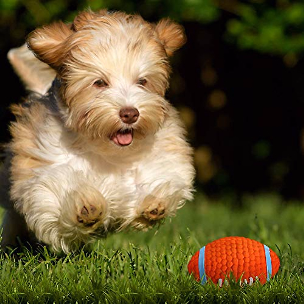 Scicalife 2pcs Pet Toys Dog Toys Pet Playthings Rugby Ball Toy for Dogs Small Dog Chew Toys Small Dog Toy Squeaky Dog Rugby Dog Toy Pet Squeaky Toy Outdoor The Dog Training Ball Football