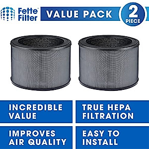 Fette Filter - 2 Premium True Hepa H13 Replacement Filter Size O Compatible with Winix Air Purifier Model A230 A231 Compare to Part # 1712-0110-00, 1712011000