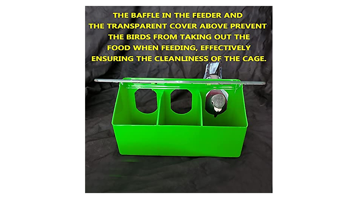 Buy Pigeon & Quail Bird Feeders 2 Pack | Durable & Adjustable