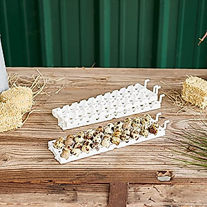 Farm Innovators 3400 Quail Rail Fits 120 Small Eggs, for 3400 Automatic Egg Turner, White (6 Pack)