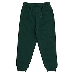 Teenage Mutant Ninja Turtles Donatello Raphael Leonardo Toddler Boys Fleece Sweatshirt and Pants Set Gray/Green 5T