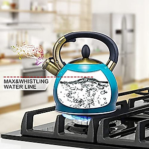 s-p Whistling Tea Kettle Stove Top Teapot, Stainless Steel Teakettle (2.8 QUART, Blue)