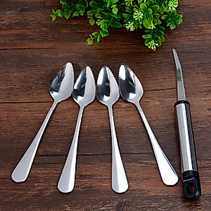 Grapefruit Spoons, JUSTDOLIFE Grapefruit Dessert Spoons Stainless Steel Half Serrated Citrus Fruit Vintage Dessert Spoons Gift for Kitchen (5 Pack)