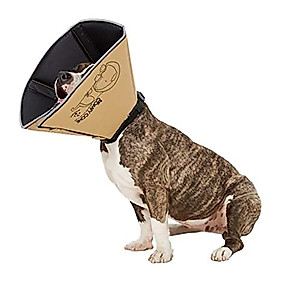 All Four Paws Comfy Cone Pet Cone for Dogs, Cats, Large, Tan - Comfortable Soft Dog Cone Collar Alternative for After Surgery, Wound Care, Spay, Neuter - Dog and Cat Recovery Collar