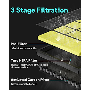 Leemone 2 Pack Vital 200S-P Pet Allergy Replacement Filter Compatible with LEVOIT Vital 200S Air Purifier, 3-in-1 H13 True HEPA Activated Carbon Filter, Vital 200S-RF-PA (LRF-V201-YUS), Yellow