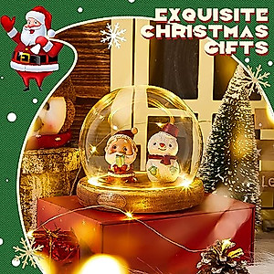 Funtery 4 Pcs 3.54 x 5 in Christmas DIY Clear Glass Dome Keepsake Globe Display Case with Light Wood Base Decorative Snow Globe Kit Plant Terrarium Decor for Women Craft Tabletop Gift (Classic Style)
