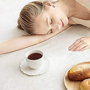 Ashler HOME DECO Ultra Soft Faux Rabbit Fur Rug, Area Rugs for Bedroom Floor Sofa Living Room, Carpet Accent Rugs White 2 x 6 Feet