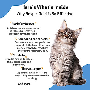 Pet Wellbeing Respir-Gold for Cats - Supports Healthy Breathing, Open Airways, Respiratory Support, Black Cumin, Horehound, Grindelia - Veterinarian-Formulated Herbal Supplement 2 oz (59 ml)