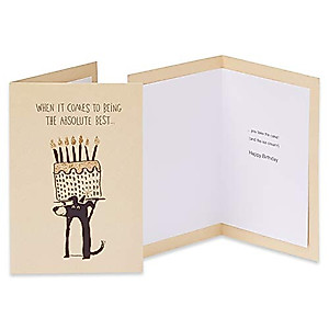 American Greetings Premium Birthday Cards, Kid-Friendly Designs (8-Count)