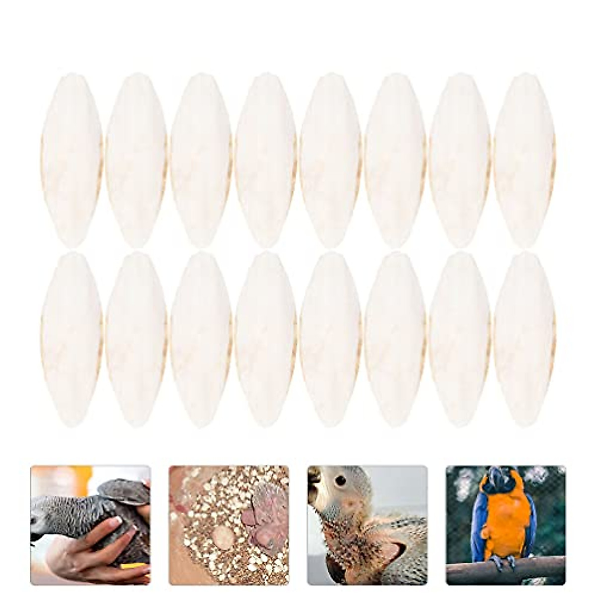 EXCEART 30pcs Bird Cuttlebone Natural Cuddle Bone Bird Beak Stone Beak Grinder Parrot Chew Toys Molar Toy for Parakeets Cockatiel Macaw