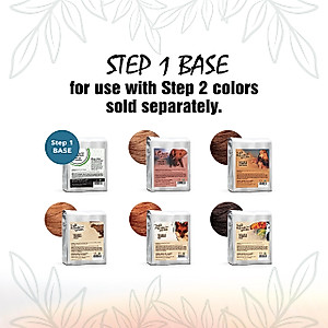 Light Mountain Natural Color the Gray Step 1 - Bulk 1 Pound Powder for Covering White, Gray, or Platinum Blond Hair, 16 Oz