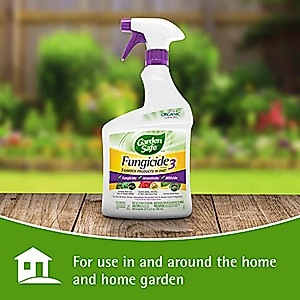 Garden Safe Brand Fungicide3, Ready-to-Use, 24-Ounce, 2 Pack