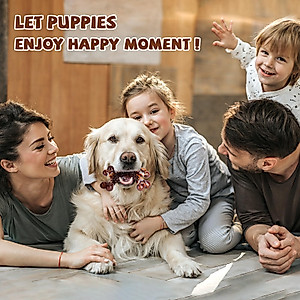 WAGS PET 4 Pack Dog Chew Toys for Aggressive Chewers, Indestructible Dog Toys for Medium Large Breed, Real Bacon Flavor, Tough and Durable Nylon Toy for Better Dental Care