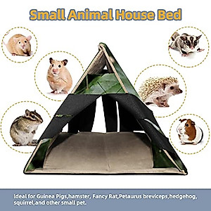RATGDN Small Pet Hideout Green Butterfly Hamster House Guinea Pig Playhouse for Dwarf Rabbits Hedgehogs Chinchillas