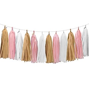 Aonor Gold White Pink Tassel Garland for Baby Shower Decorations Bridal Shower Birthday Party Decorations 15PCS