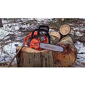 16 inch Chainsaw Chain,3/8 LP .050 Inch 56 Drive Links,compatible fits for Craftsman,Echo,Homelite,Poulan,Remington（Pack of 2）