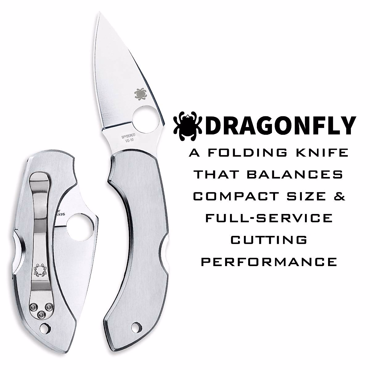 Spyderco Dragonfly Signature Knife with 2.32" VG-10 Steel Blade and Durable Stainless Steel Handle - PlainEdge - C28P