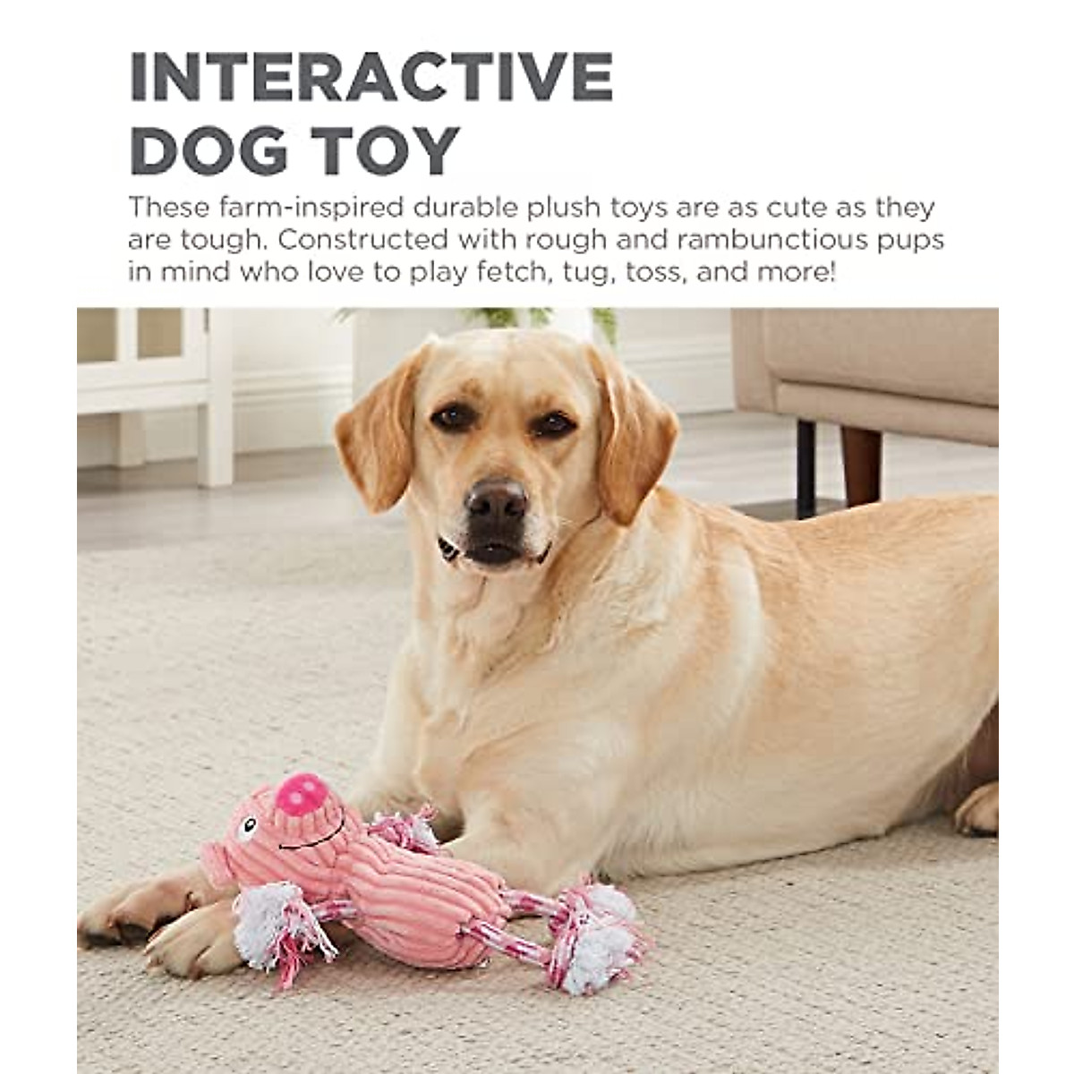 Outward Hound by Charming Pet Ranch Roperz Pig Plush Squeaky Dog Toy