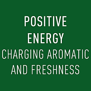 Adidas Sport, Charge, Mens Fragrance 3.3 ounce Eau De Toilette, 1 Count