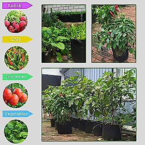 MIXGYS 12 Pack 5 Gallon Grow Bags,Grow Nursery Pots,Vegetables Bag for Flowers and Plant Garden Container,Thickened Non-Woven Pot with Handle（5Gallon 12Pack Black