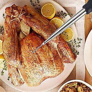 Stainless Steel Turkey Baster Food Grade High Temperature Resistant Silicone Oil Injector Marinades Ball Syringe Needle and Brush Easy to Clean