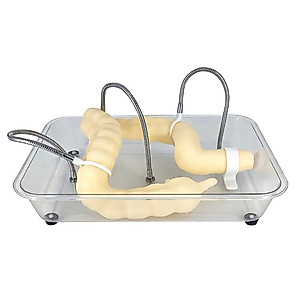 WFZY Medical Colon Model Soft Virtual Colonoscopy Training Model for Nursing Medical Training