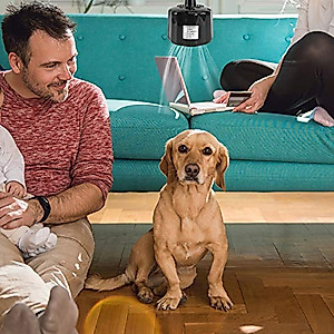 YARDWE Reptiles Reptile Heat Emitter Safe Chicken Coop Heater Livestock Heat Warm Light Cultivation Heating Lamp for Farm Animal Poultry Cat Dog Reptile Style Poultry Heat Lamp