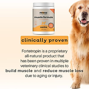 MYOS Canine Muscle Formula - Clinically Proven All-Natural Muscle Building Supplement - Reduce Muscle Loss in Aging Dogs and Improve Recovery from Injury or Surgery, 12.7 Ounce