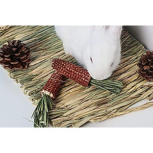 Rabbit Chew Toys for Teeth, Bunny Molar Toys, Small Animal Chew Molar Toys Natural Flower Timothy Grass Cake Pinecones and Corn Toy for Rabbits Chinchilla Hamsters Guinea Pigs Gerbils… (Style 1)