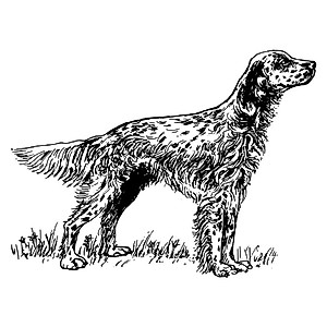 CafePress English Setter Mugs Ceramic Coffee Mug, Tea Cup 11 oz