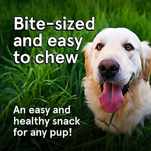 Real Meat Dog Treats - 12oz Bag of Bite-Sized Air-Dried Lamb Jerky for Dogs - Grain-Free Jerky Dog Treats Made up of 95% Human-Grade, Free-Range, Grass Fed Lamb - All-Natural High Protein Dog Treats