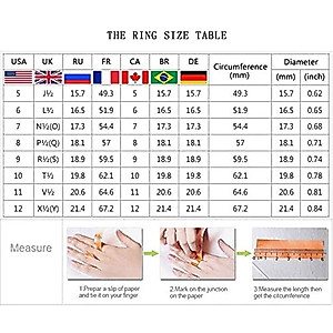 Flower Diamond Zirconia Ring Fashion Engagement Rings for Women Ring Set for Women Size 9 Cock Ring Set (E, One Size)