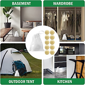 Rodent Repellen, Mice Repellent Indoor/Outdoor 10 Pack, Moth Balls, Peppermint Pest and Control Mice Rats Repeller and Strongly Repel Roaches, Squirrels, Ants, Other Rodents