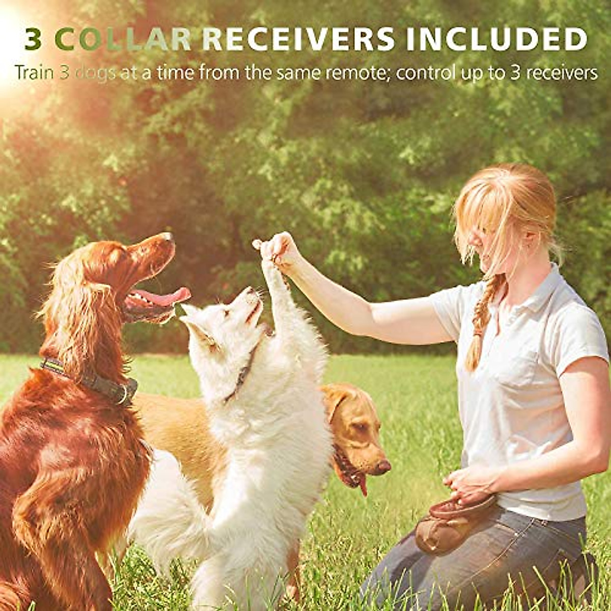 F-color Dog Training Collar 2600FT Dog Shock Collar for Large Medium Small Dogs Breed with 4 Modes Light Beep Vibration Shock Waterproof Rechargeable Shock Collar for 3 Dogs