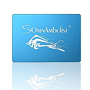 Somnambulist 2.5 inch SATA SSD120GB 240GB 60GB SATA3 Internal Ssd Solid State Hard Drive (Blue Cow-60GB)