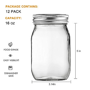 Accguan Mason Jars 16 oz With Regular Lids and Bands, Ideal for Jam, Honey, Wedding Favors, Shower Favors, DIY Magnetic Spice Jars, 12 PACK, 16 Labels Included