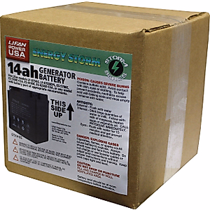 Lifan Energy Storm Acid Cell Starter Battery 12V 15 Amp
