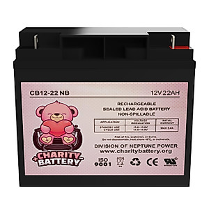 Charity Battery CB12-22 12V 22Ah SLA Battery Replacement for NP18-12 51814 6FM17 6-DZM-20 6-FM-18