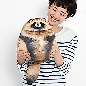 Cute Raccoon Plush Pillow - 12" Soft Stuffed Animal Toy for Kids & Gifts