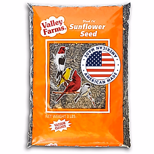 Valley Farms Black Oil Sunflower Seed Wild Bird Food for Outside Feeders, Wild Bird Seed for Outside Feeders, Birdseed (3 LBS)