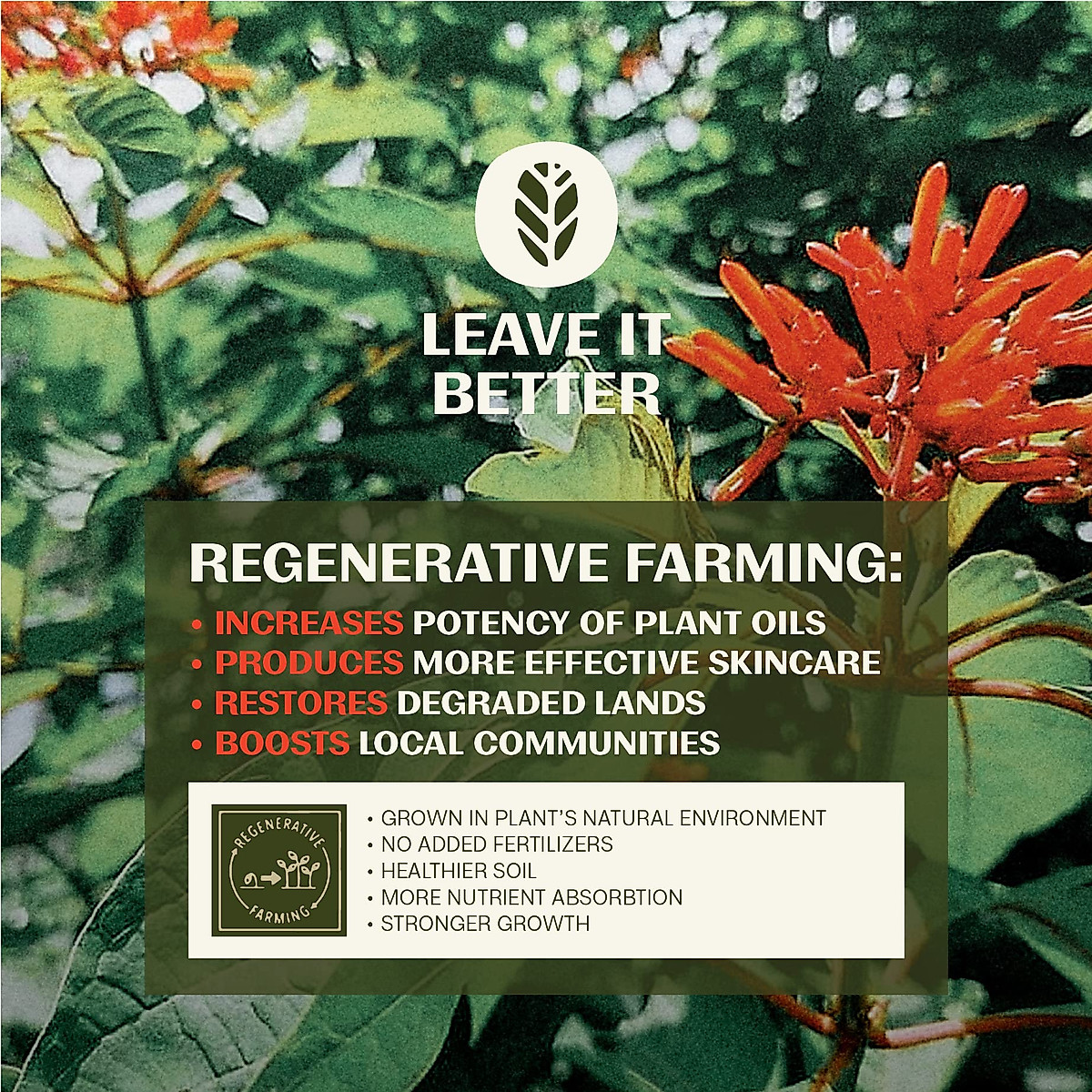 Thrive Natural Care All Natural Face Cream for Sensitive Skin - Facial Moisturizer Restores, Protects Skin & Helps Soothe Irritation, Face Lotion for Women & Men with Natural & Organic Ingredients