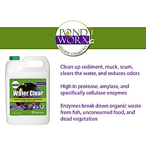PondWorx Pond Bacteria and Water Clear- Formulated for Large Ponds, Water Features and Safe for Koi, Improves Water Quality- Gallon