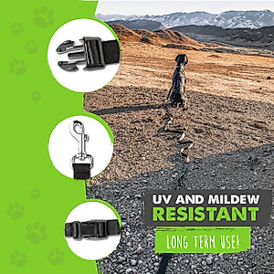 Mighty Paw Long Dog Leash | Pet Lead for Off-Leash Recall Training. Premium Quality Nylon Tie Out , Includes a Buckled Padded Handle. Great for Yard, Camping and Training. (15 Feet, Black)