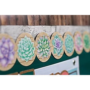 Rustic Bloom Succulent Die-Cut Border Trim