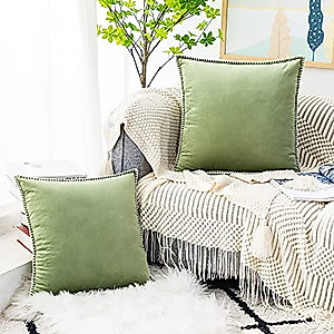 GAWAMAY Solid Soft Velvet Farmhouse Spring Black Pillow Covers 18x18 Set of 2,Decorative Green Throw Pillows with Chenille Edge,Square Boho Couch Pillows for Living Room Sofa Couch Beding(45x45cm)
