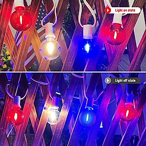 25Ft G40 Outdoor Clear Globe String Lights, Connectable Waterproof Edison String Lights for Outside Backyard Wedding Patio Bistro Party Decoration, 5W, E12 Base, Black Wire