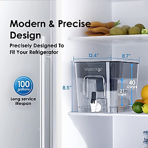 Waterdrop Alkaline Water Filter Dispenser, Large 40-Cup, Up to PH 9.5, Healthy, Clean & Toxin-Free Mineralized Alkaline Water, 100-Gallon, BPA Free, Black (1 Filter Included)