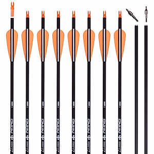 28Inch Carbon Arrow Practice Hunting Arrows Targeting with Removable Tips for Archery Compound & Recurve & Traditional Bow (Pack of 12)